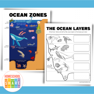 Ocean Zones Worksheets (free!) - Homeschool Share