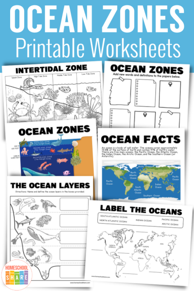 Ocean Zones Worksheets (free!) - Homeschool Share