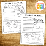 Lizard Worksheet Research Project - Homeschool Share