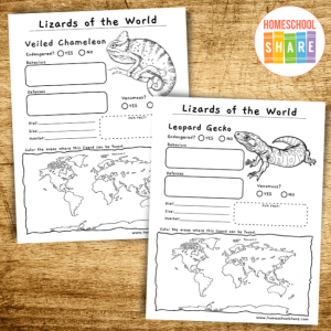 Lizard Worksheet Research Project - Homeschool Share