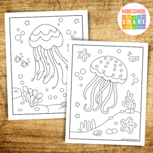 Jellyfish Worksheets - Homeschool Share
