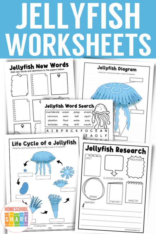 Jellyfish Worksheets - Homeschool Share