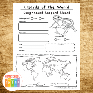 Lizard Worksheet Research Project - Homeschool Share