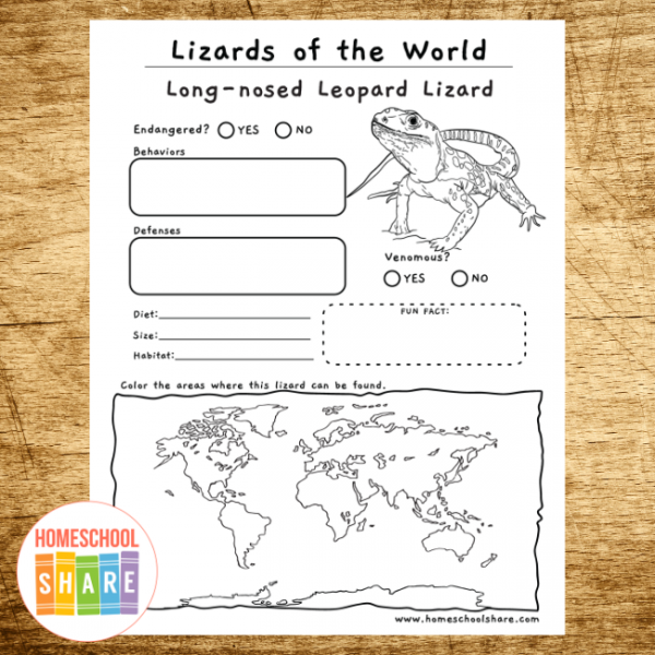 Lizard Worksheet Research Project - Homeschool Share