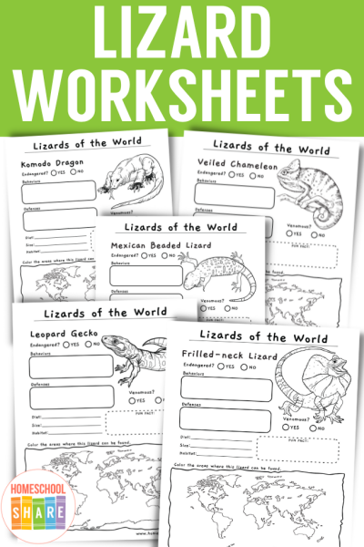 Lizard Worksheet Research Project - Homeschool Share