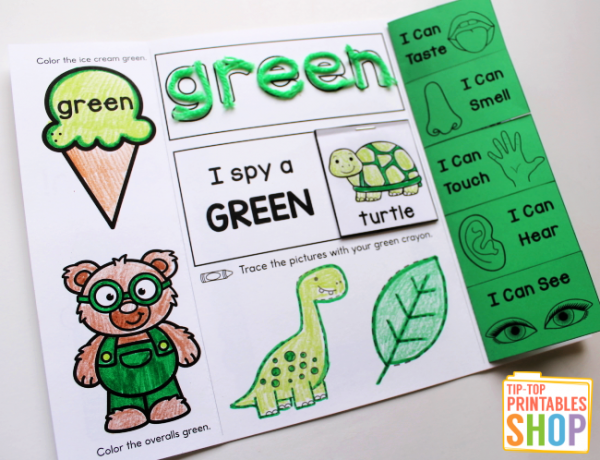 Color Lapbooks - Homeschool Share