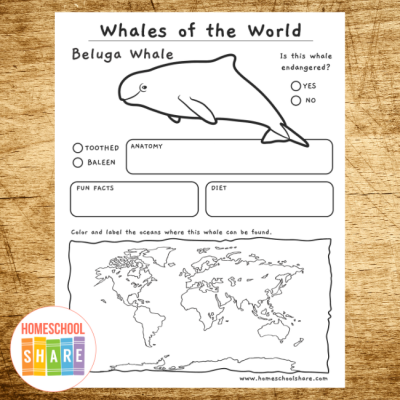 Free Printable Whale Worksheets - Homeschool Share