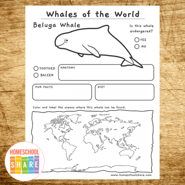 Free Printable Whale Worksheets - Homeschool Share