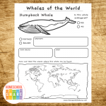 Free Printable Whale Worksheets - Homeschool Share