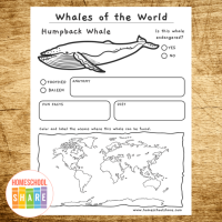 Free Printable Whale Worksheets - Homeschool Share