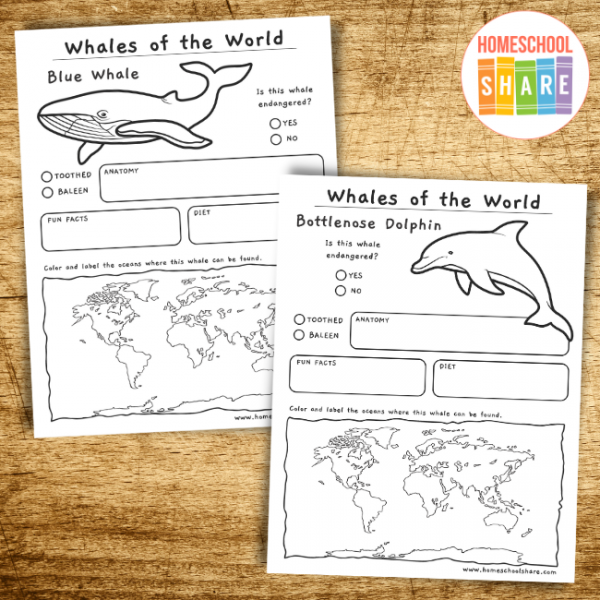Free Printable Whale Worksheets - Homeschool Share