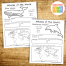Free Printable Whale Worksheets - Homeschool Share