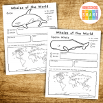 Free Printable Whale Worksheets - Homeschool Share