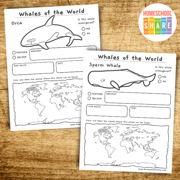 Free Printable Whale Worksheets - Homeschool Share