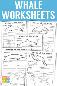 Free Printable Whale Worksheets - Homeschool Share