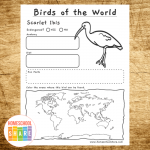 Bird Research Project - Homeschool Share