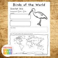 Bird Research Project - Homeschool Share