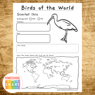 Bird Research Project - Homeschool Share