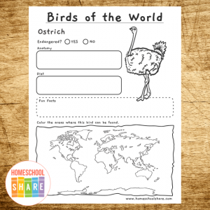 Bird Research Project - Homeschool Share