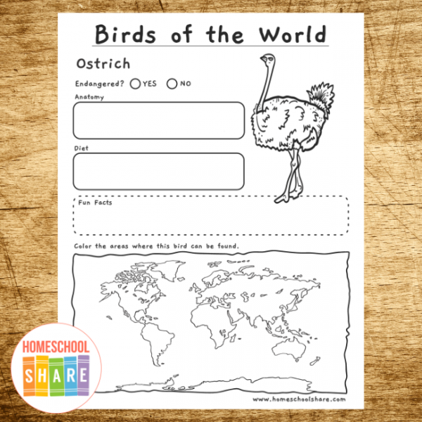 Bird Research Project - Homeschool Share