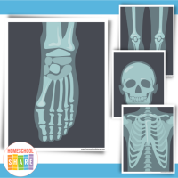 Hospital Dramatic Play (free printables!) - Homeschool Share