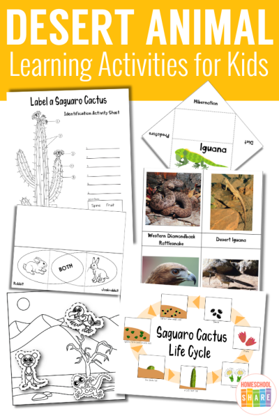 Desert Animal Activities for Kids - Homeschool Share