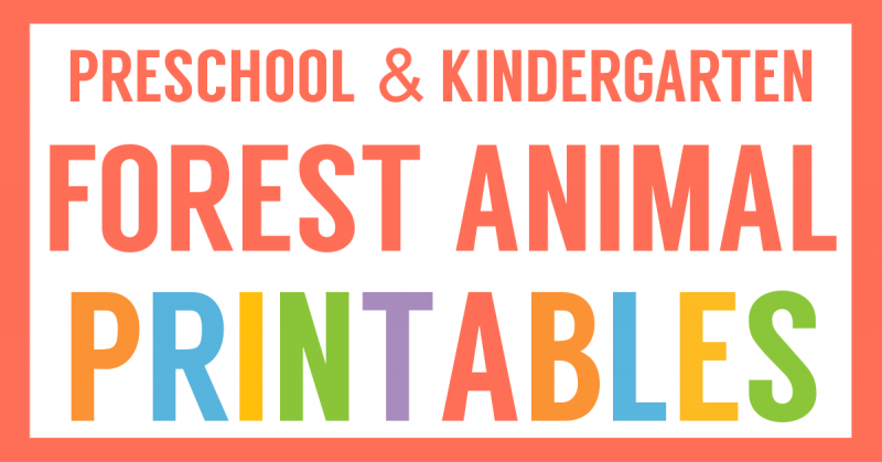 Bear Activities for Preschoolers (and Kindergarteners) - Homeschool Share