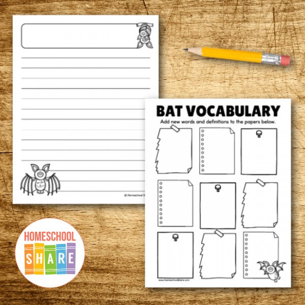 Bat Worksheets (Free!) - Homeschool Share