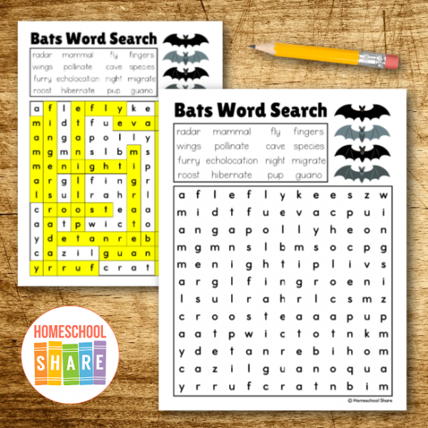 Bat Worksheets (Free!) - Homeschool Share