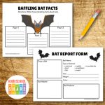 Bat Worksheets (Free!) - Homeschool Share