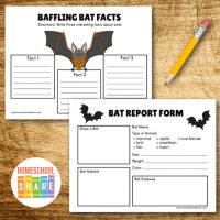 Bat Worksheets (Free!) - Homeschool Share