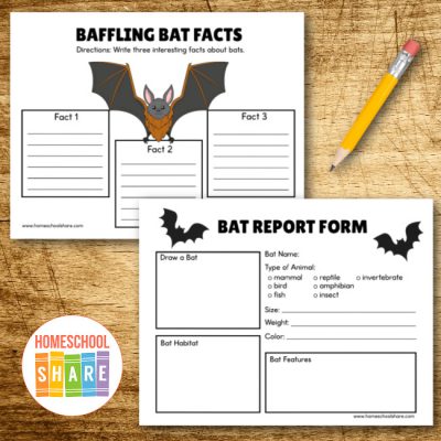 Bat Worksheets (Free!) - Homeschool Share