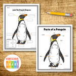 Penguin Worksheets (free printables!) - Homeschool Share