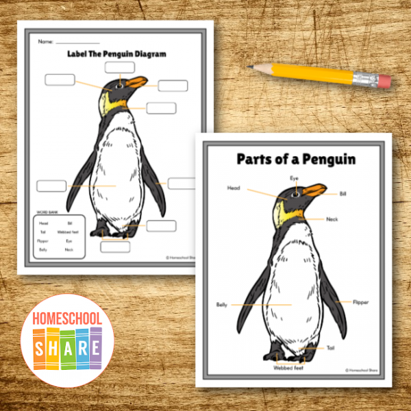 Penguin Worksheets (free printables!) - Homeschool Share