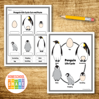 Penguin Worksheets (free printables!) - Homeschool Share